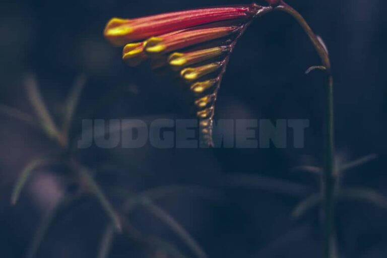 40 Powerful Bible Verses About Judgement - Jesus In The Every Day